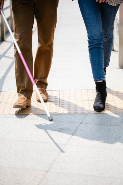 CureMD User Guide | Master CureMD with Our Comprehensive Guide